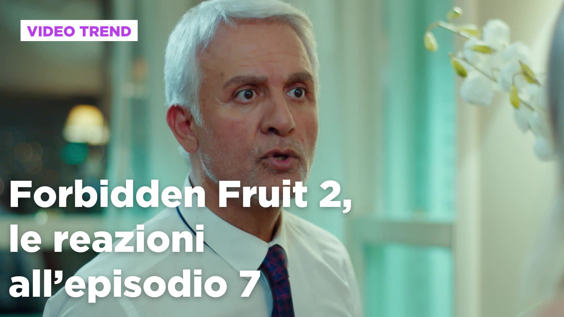 Forbidden Fruit 2, il riassunto e le reazioni alla puntata del 12 ...