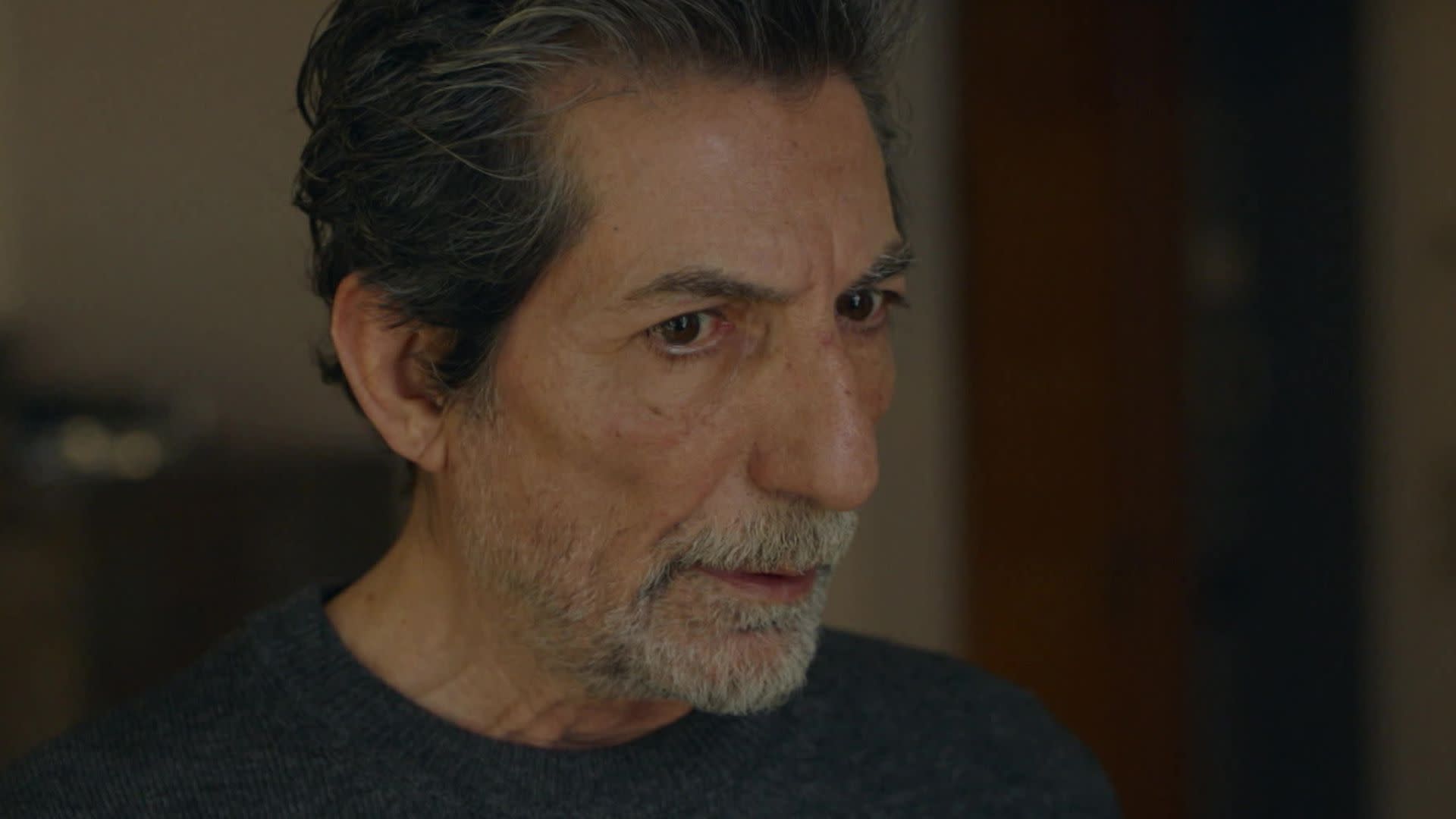 Tradimento 2, Dundar è figlio di Guzide e Tarik | Mediaset Infinity
