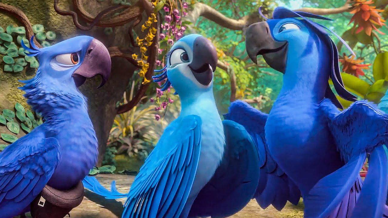 Rio 2 su Italia1 e in streaming | Mediaset Infinity