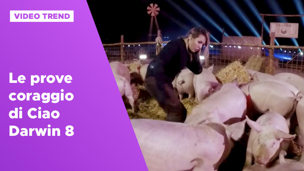 Ciao Darwin 8, le prove coraggio tra scarafaggi, iguane e maiali | Mediaset Infinity