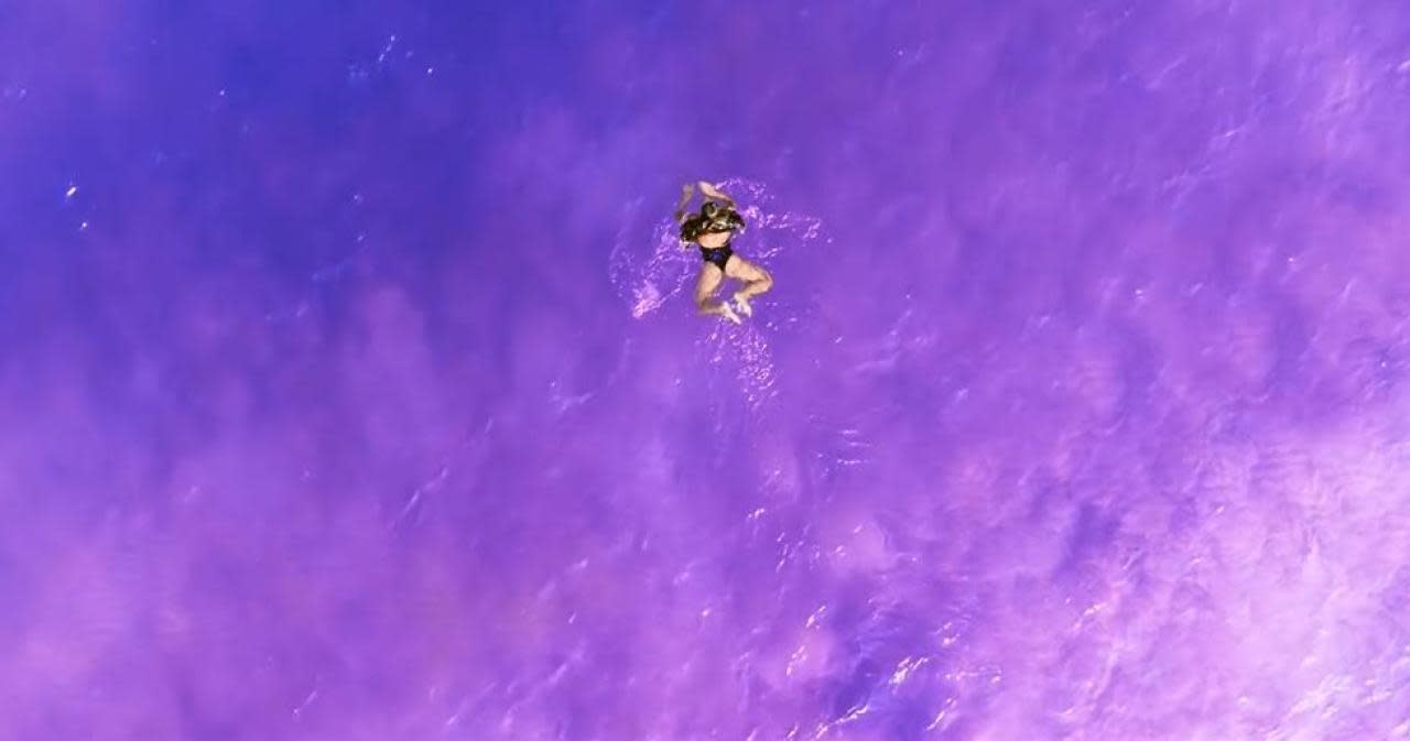 Viola come il mare 2: la seconda stagione si farà? | Mediaset Infinity