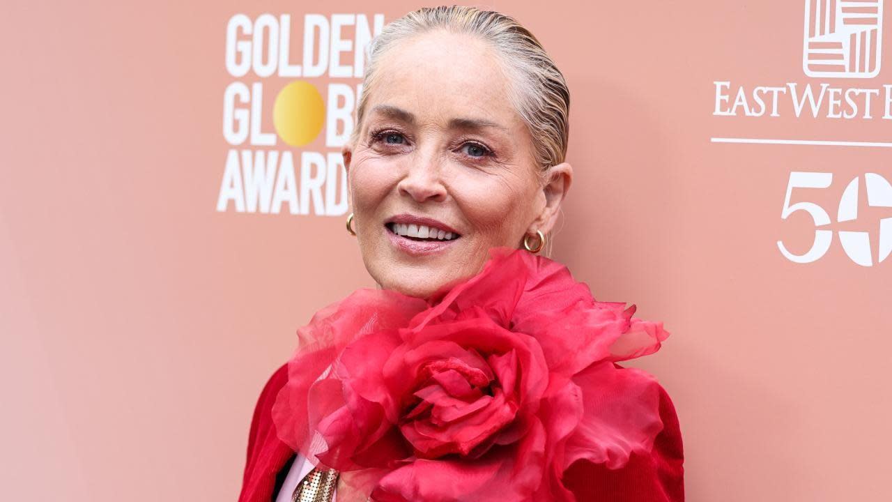 Sharon Stone: "Se non dormo otto ore di fila rischio crisi epilettiche ...