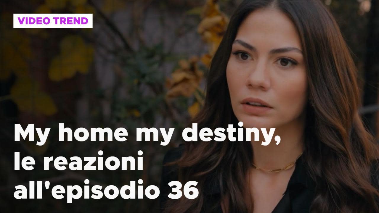 My home my destiny, il riassunto e le reazioni del 23 ottobre | Mediaset Infinity