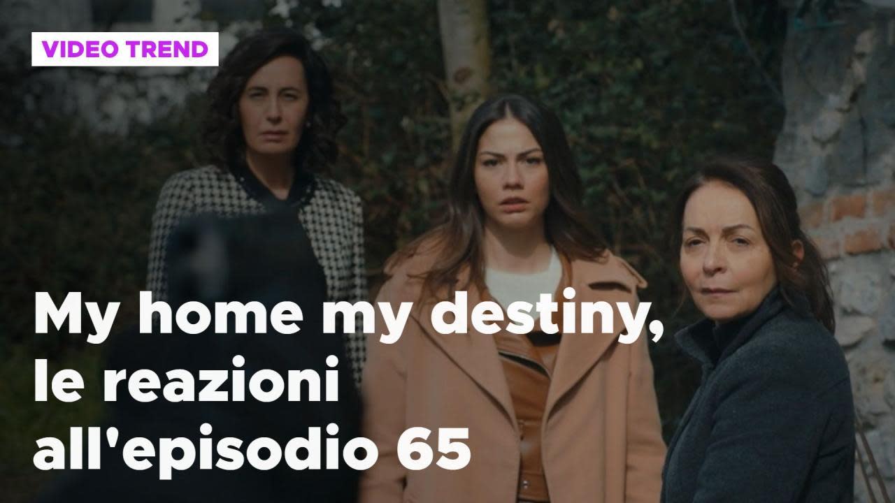 My home my destiny, il riassunto 1 dicembre: l'agguato a Zeynep | Mediaset Infinity