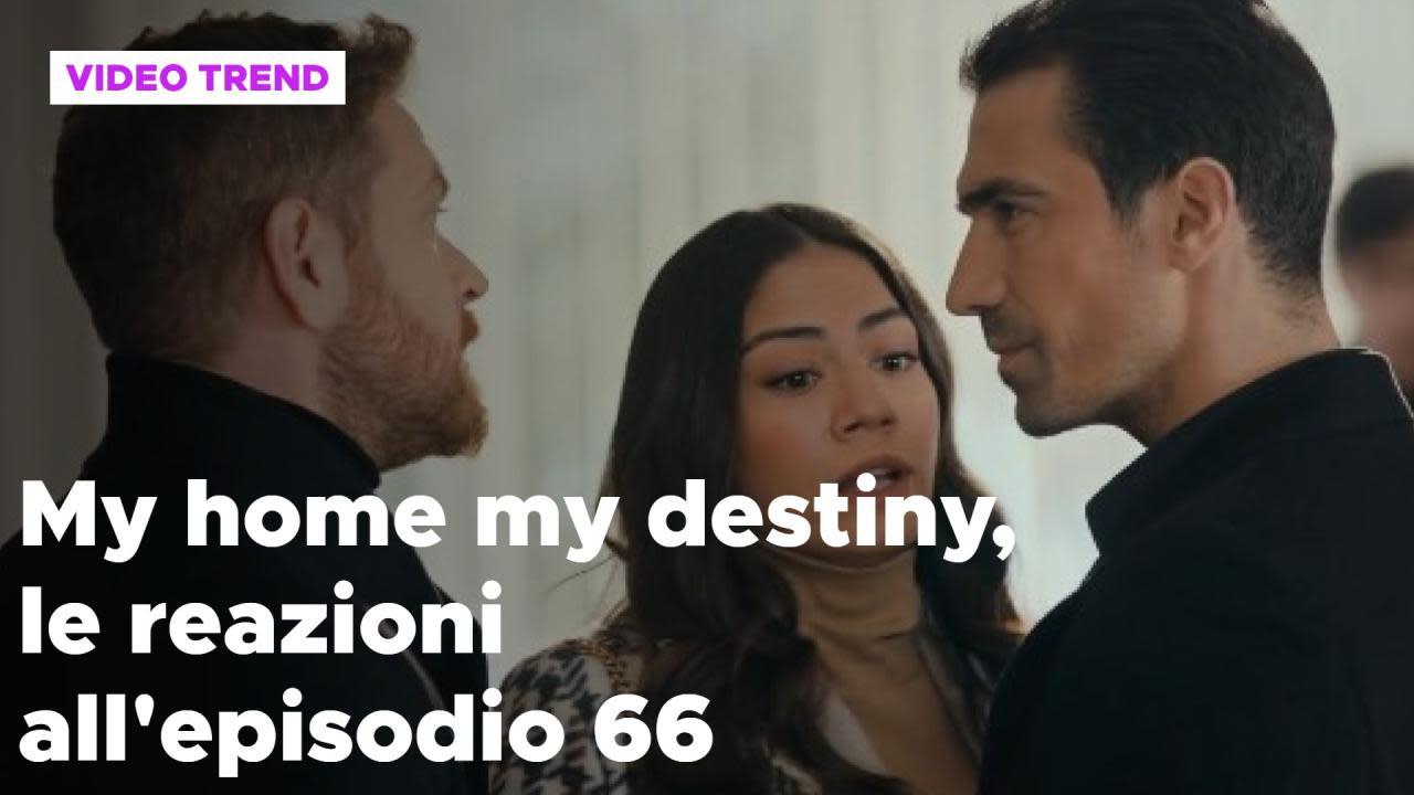 My home my destiny, il riassunto 4 dicembre: Mehdi e Baris discutono | Mediaset Infinity
