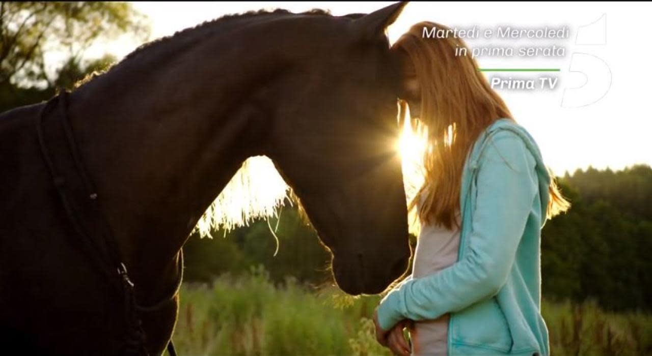 Come vedere Windstorm - Liberi nel vento in streaming | Mediaset Infinity