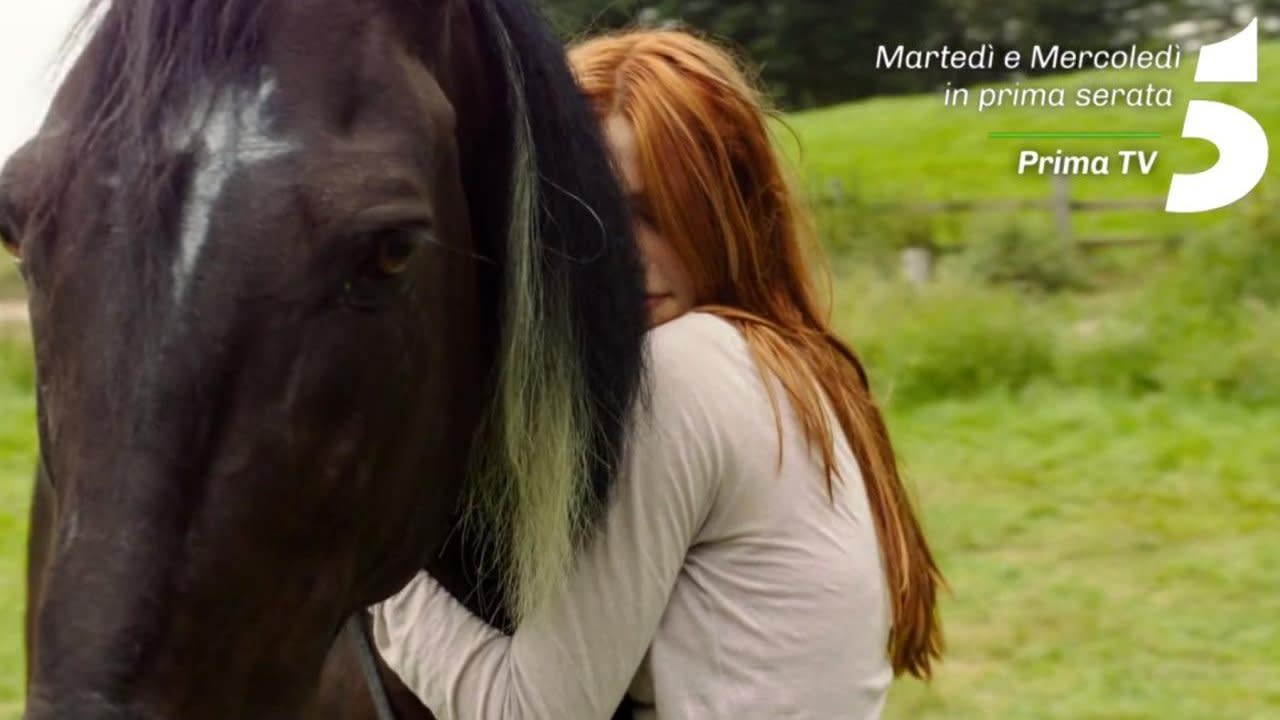 Come vedere Windstorm - Contro ogni regola in streaming | Mediaset Infinity